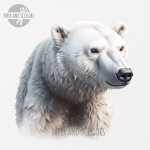 Polar Bear Clipart, Polar Bear PNG, Polar Bear Illustration, Bear Art ...