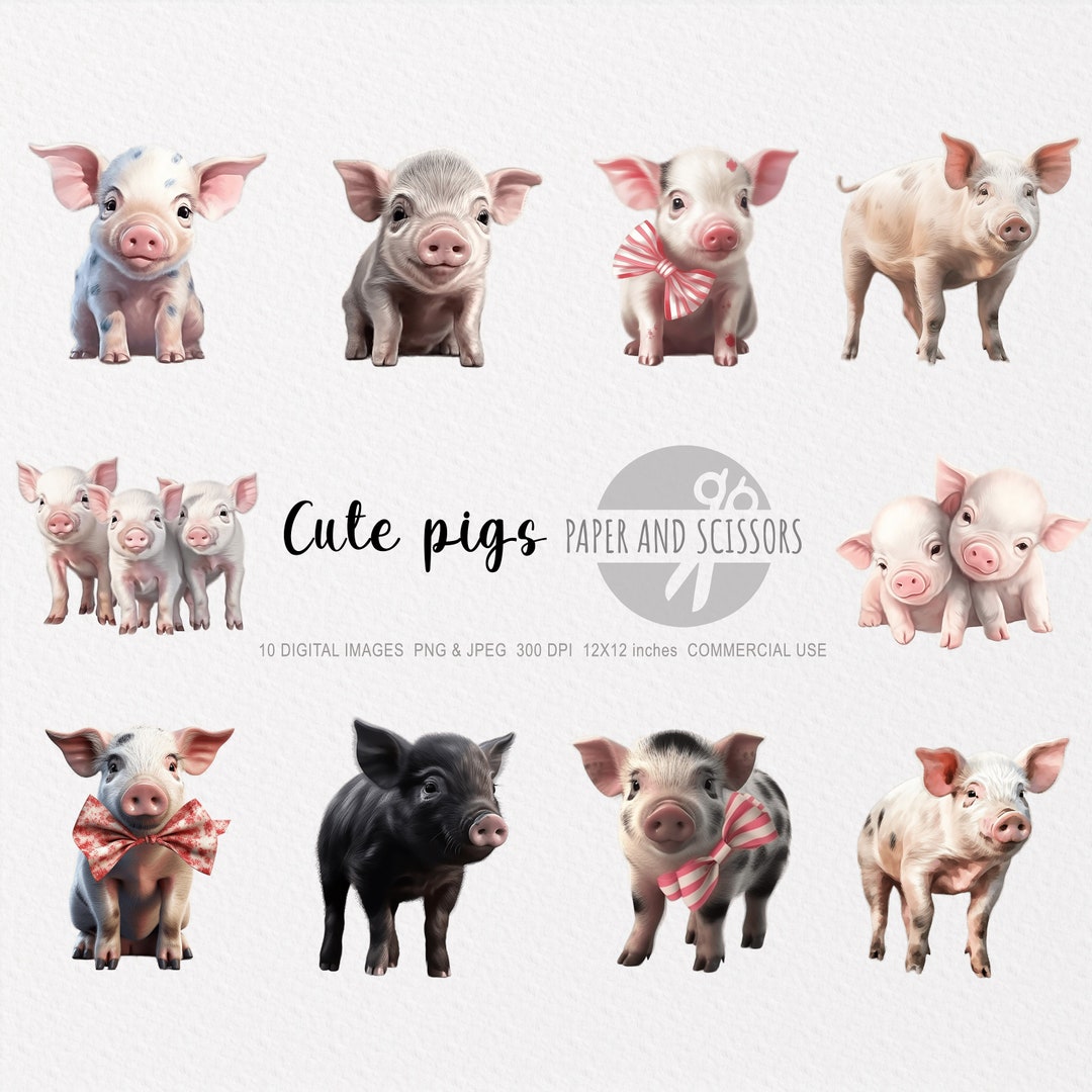 Cute Pigs Clipart, Cute Pigs PNG, Pigs Illustration, Pigs Watercolor ...