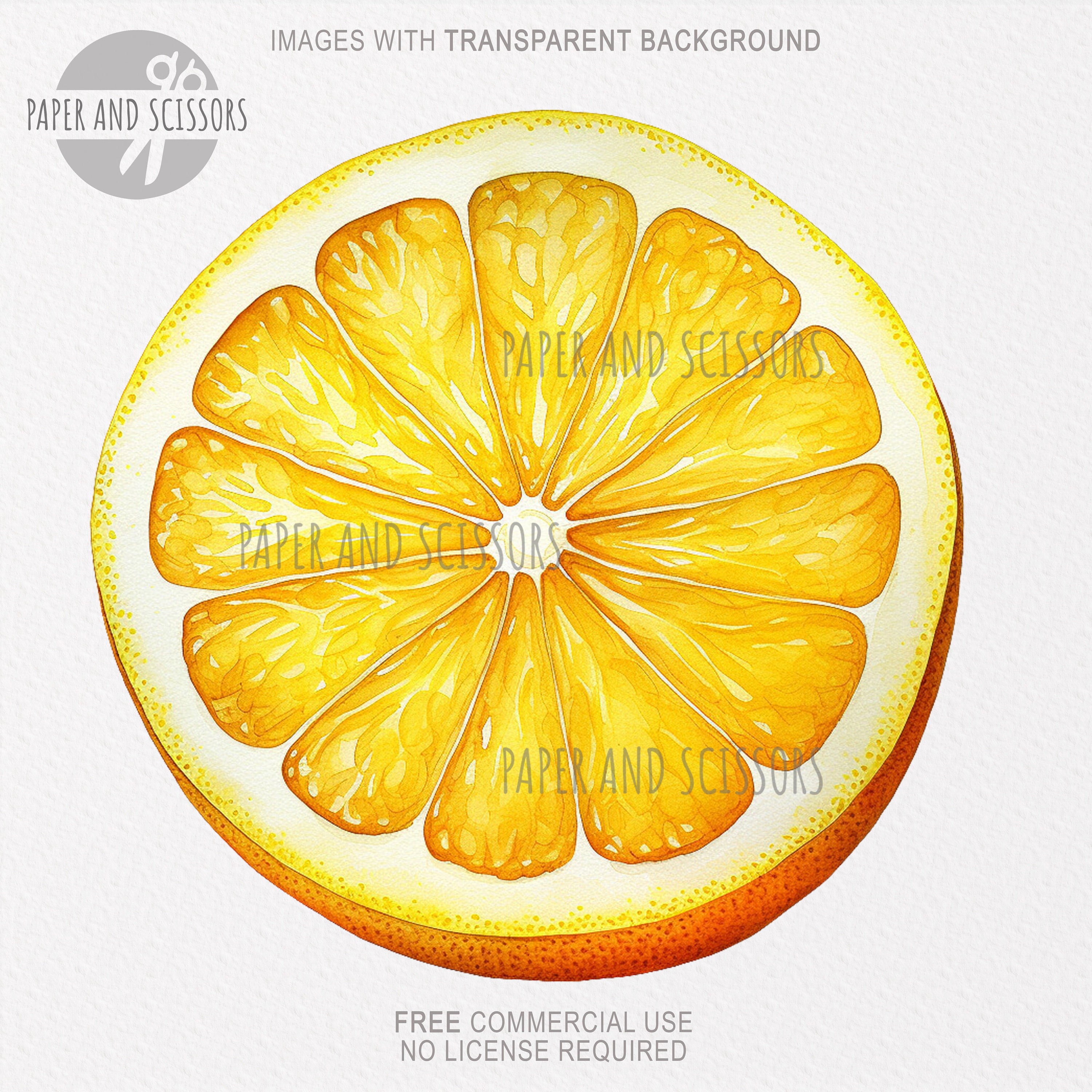 25 Fruit Slices Clipart, Fruit PNG, Fruit Illustration, Watercolor ...