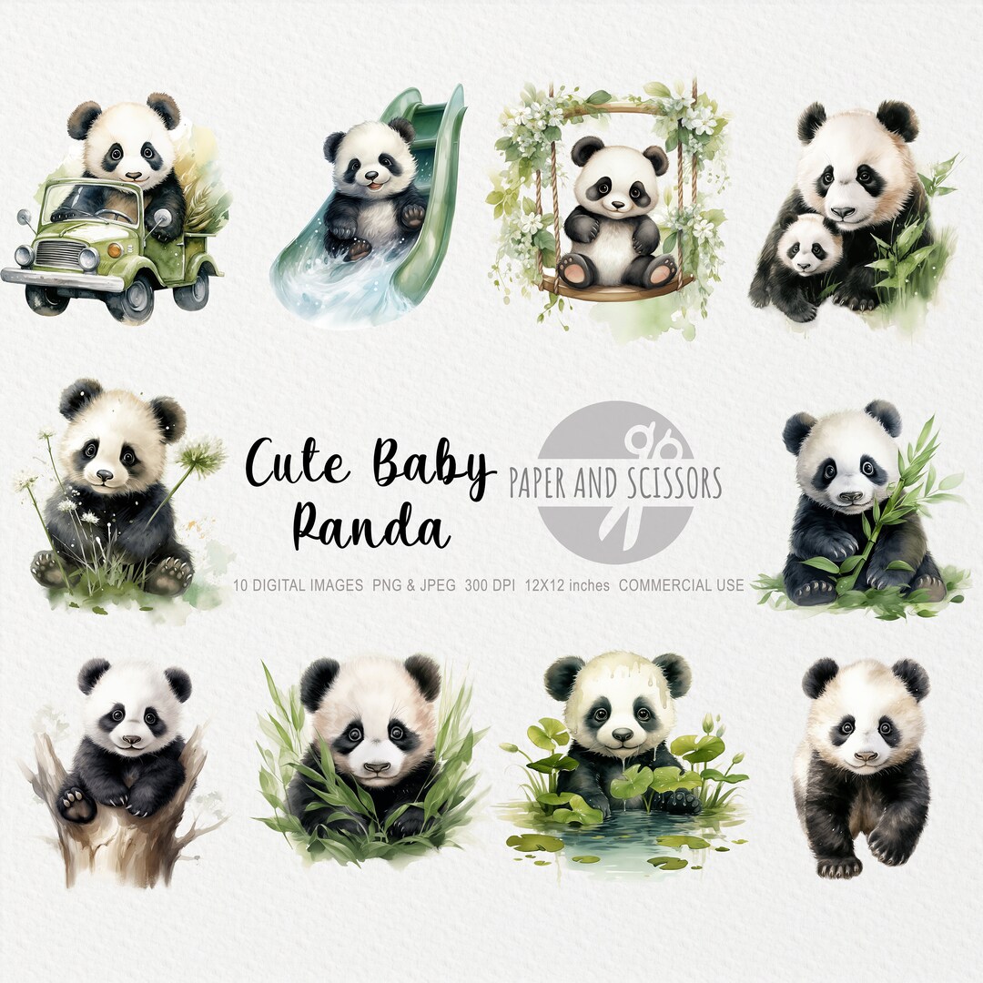 Baby Panda Watercolor Clipart, Baby Panda PNG, Panda Illustration ...