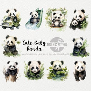 Baby Panda Watercolor Clipart, Baby Panda PNG, Panda Illustration ...