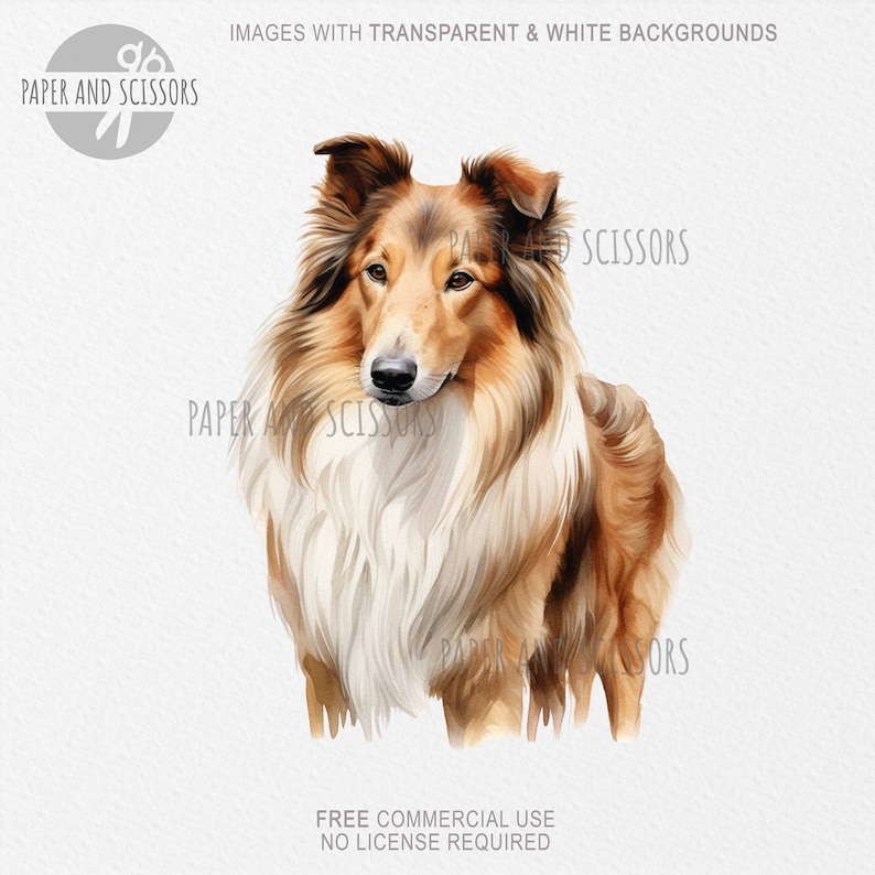 Rough Collie Clipart, Rough Collie PNG, Rough Collie Illustration, Dog ...