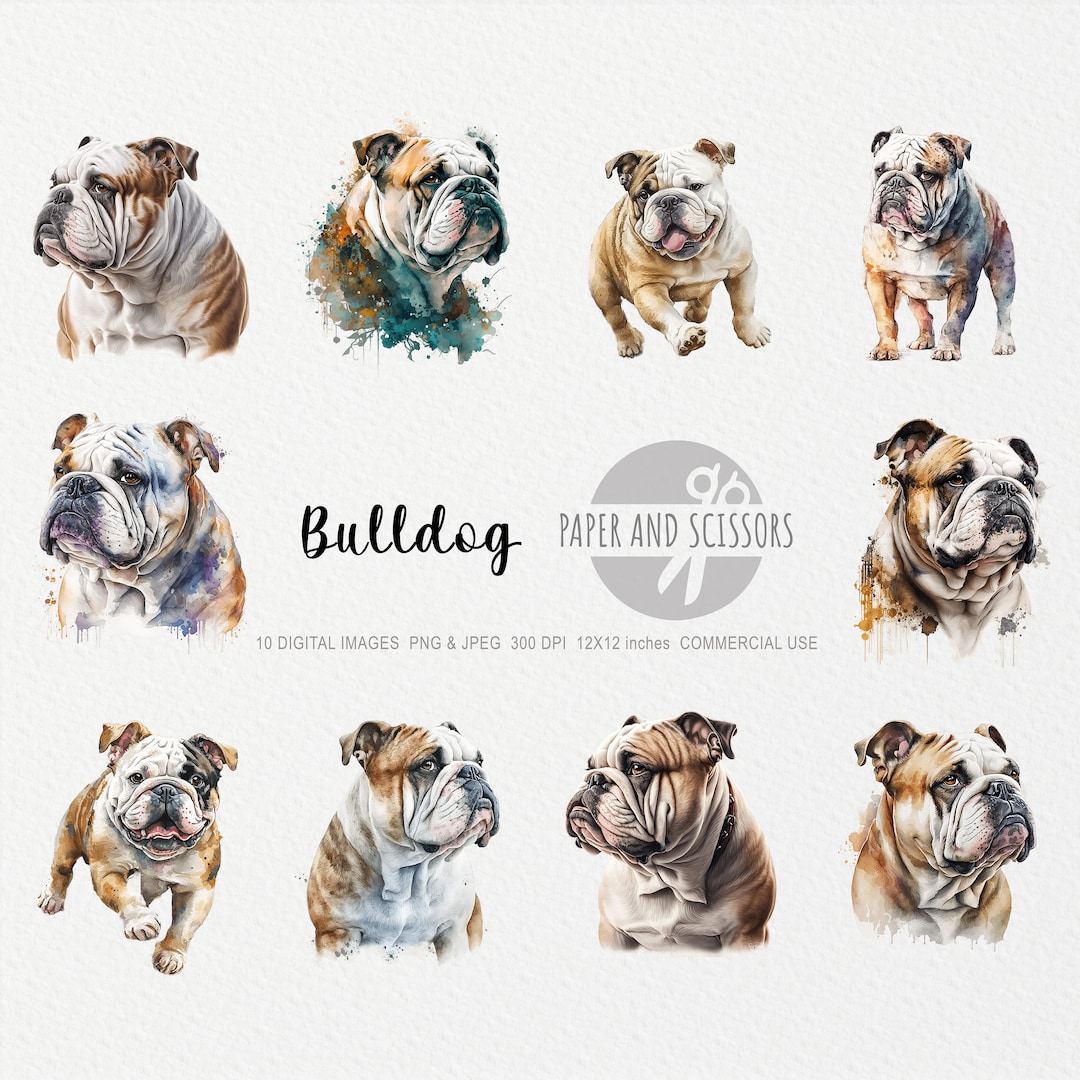 Bulldog Clipart, Bulldog PNG, Bulldog Illustration, Bulldog Clipart ...