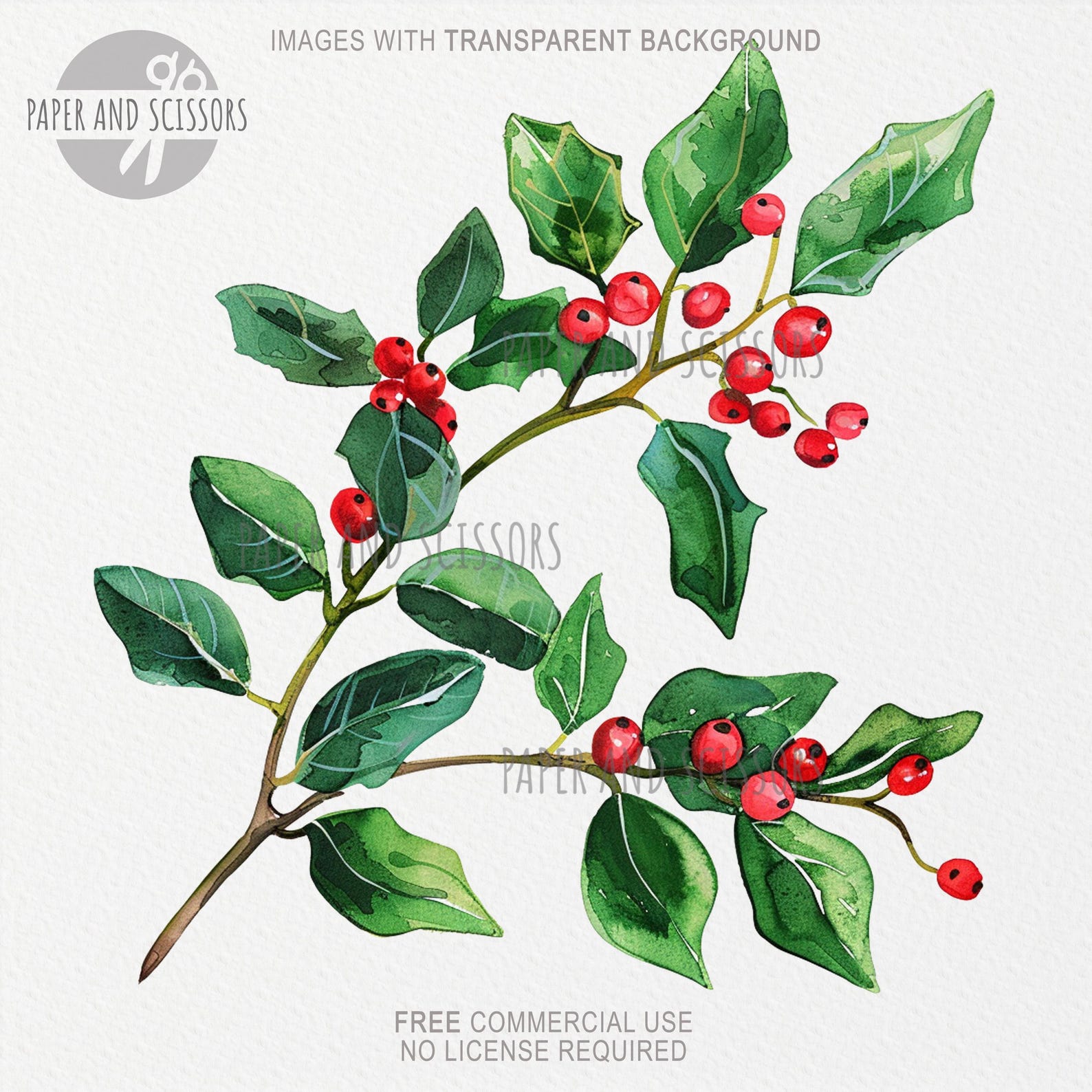 10 Christmas Mistletoe PNG, Christmas Card Printable, Holiday Plant ...