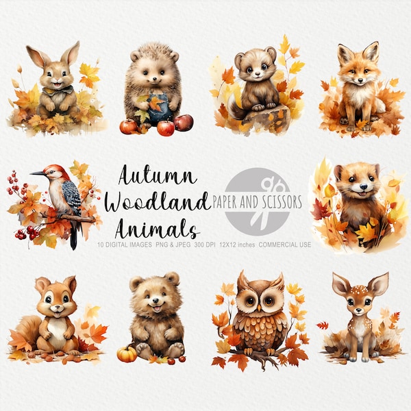 Autumn Woodland - Etsy