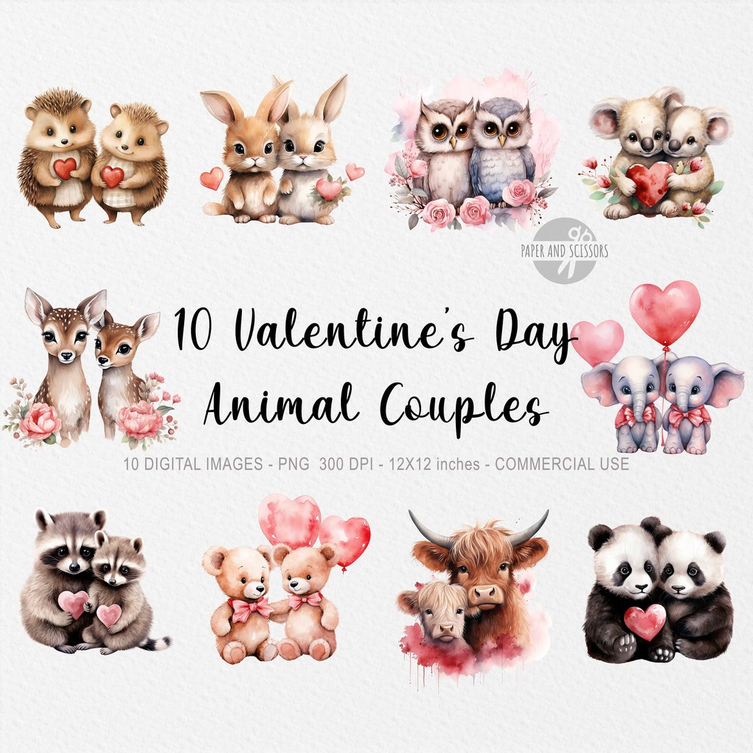 10 Valentine’s Day Animal Couples Clipart, Animal PNG, Love Animals ...