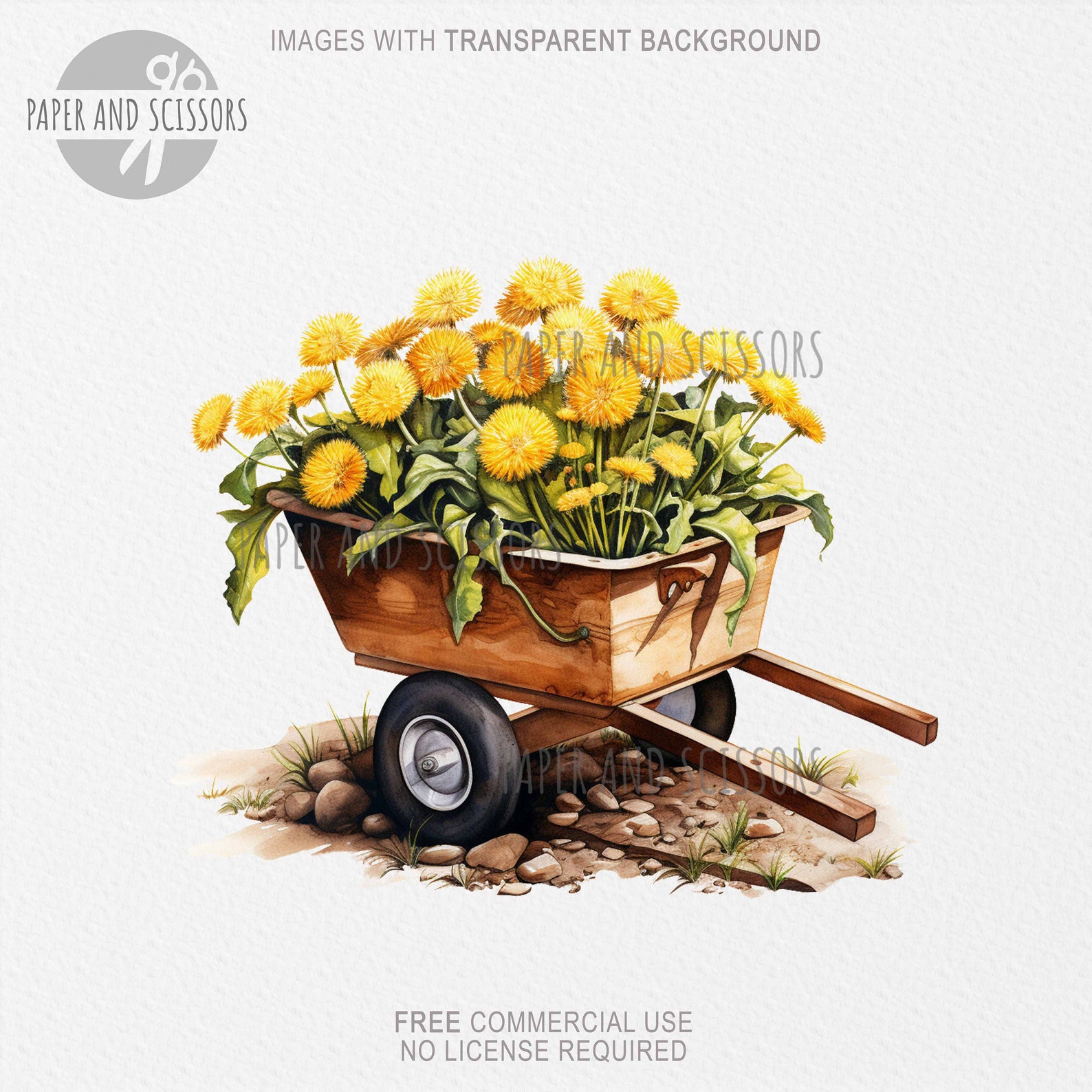 10 Dandelion Clipart, Dandelion PNG, Dandelion Illustration, Watercolor ...