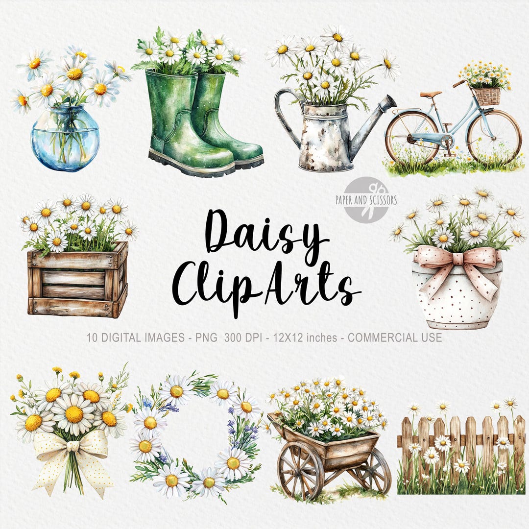 10 Daisy Clipart, Flower PNG, Spring Illustration, Watercolor Boho ...