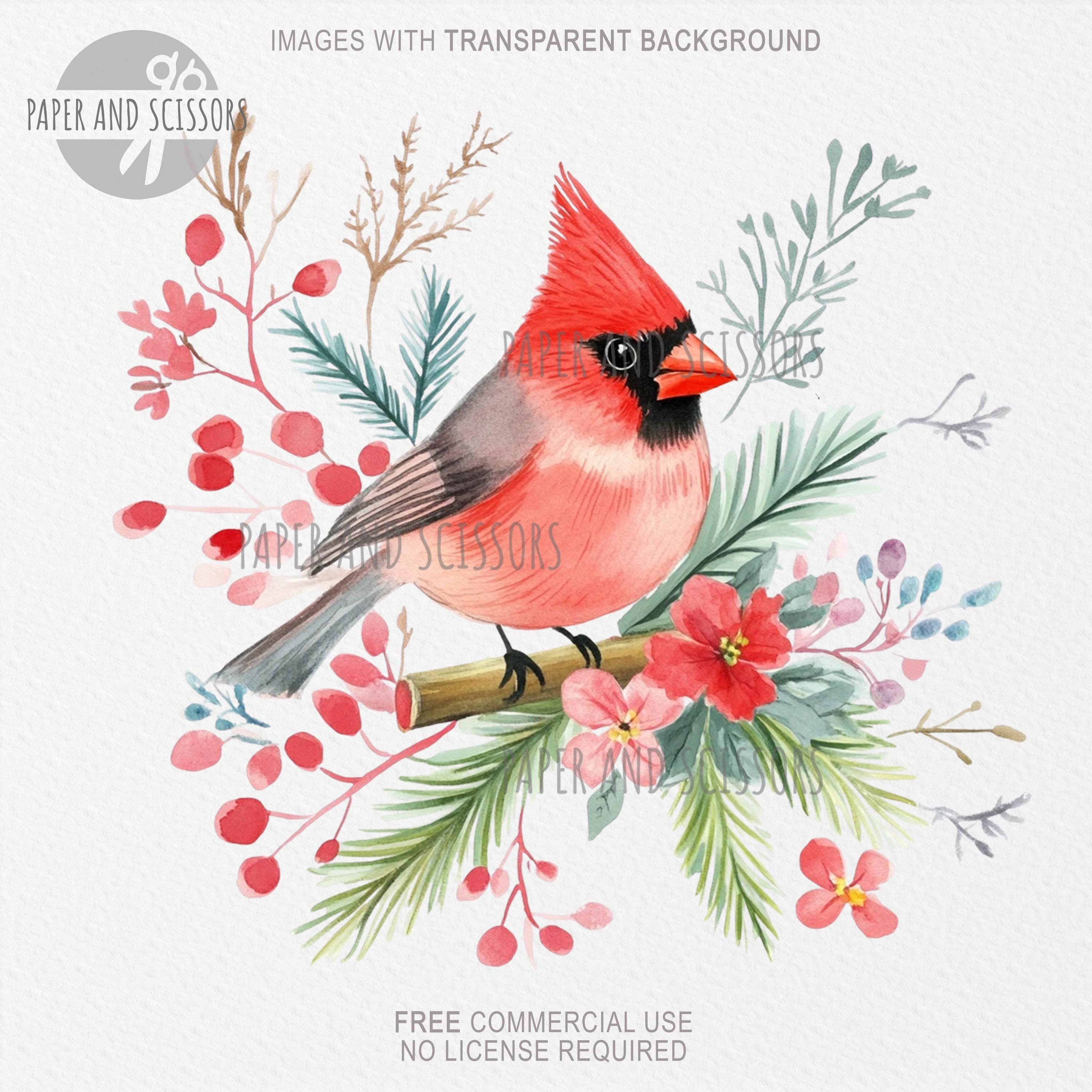 10 Christmas Birds PNG, Coquette Christmas Clipart, Red Cardinal Png ...
