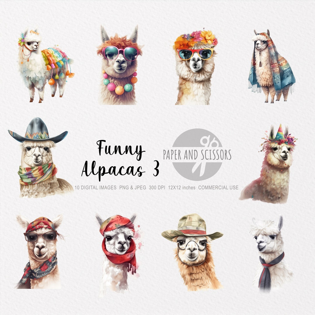 Funny Alpaca Clipart, Alpaca PNG, Alpaca Illustration, Alpaca Art ...