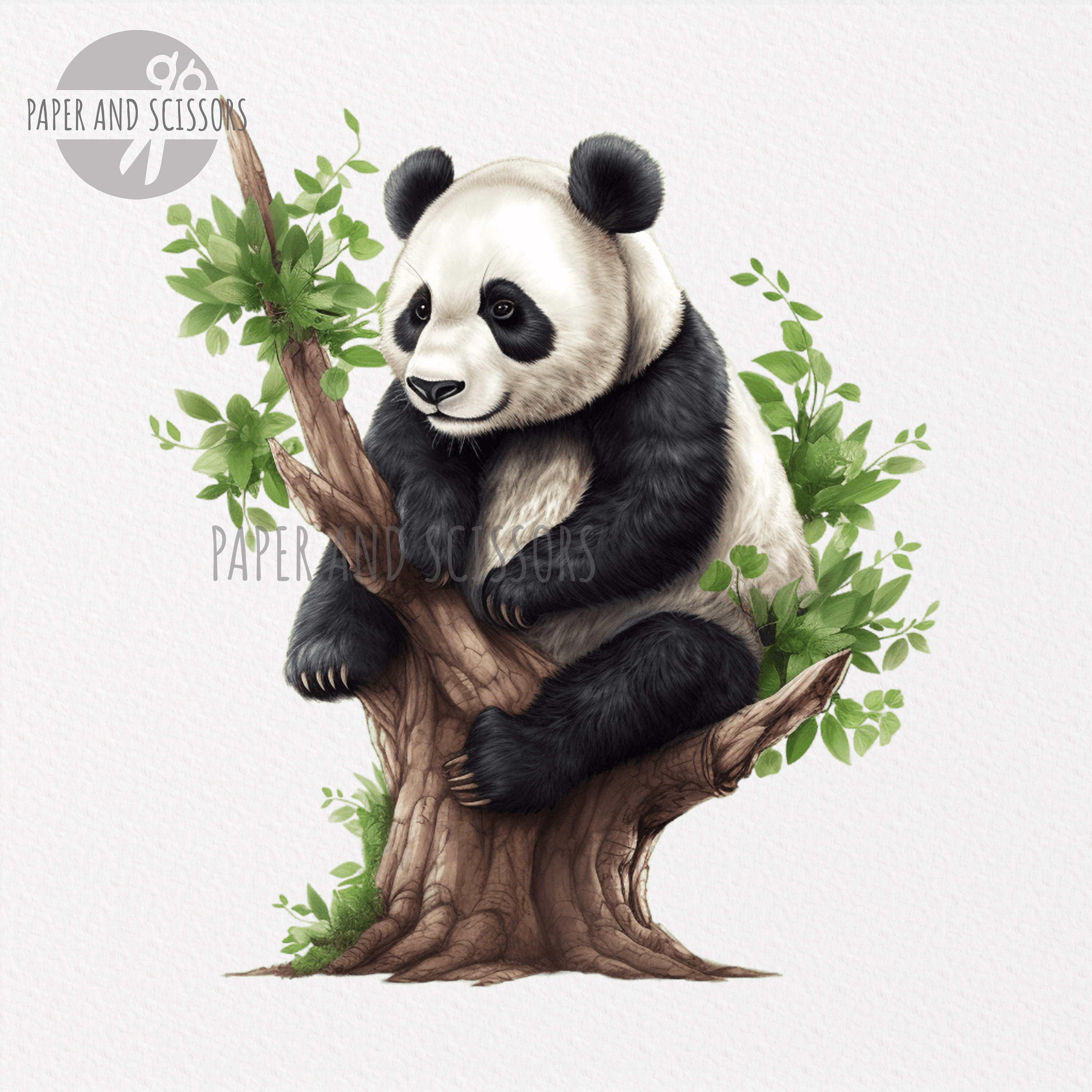Panda Watercolor Clipart Panda PNG Panda Illustration Panda - Etsy