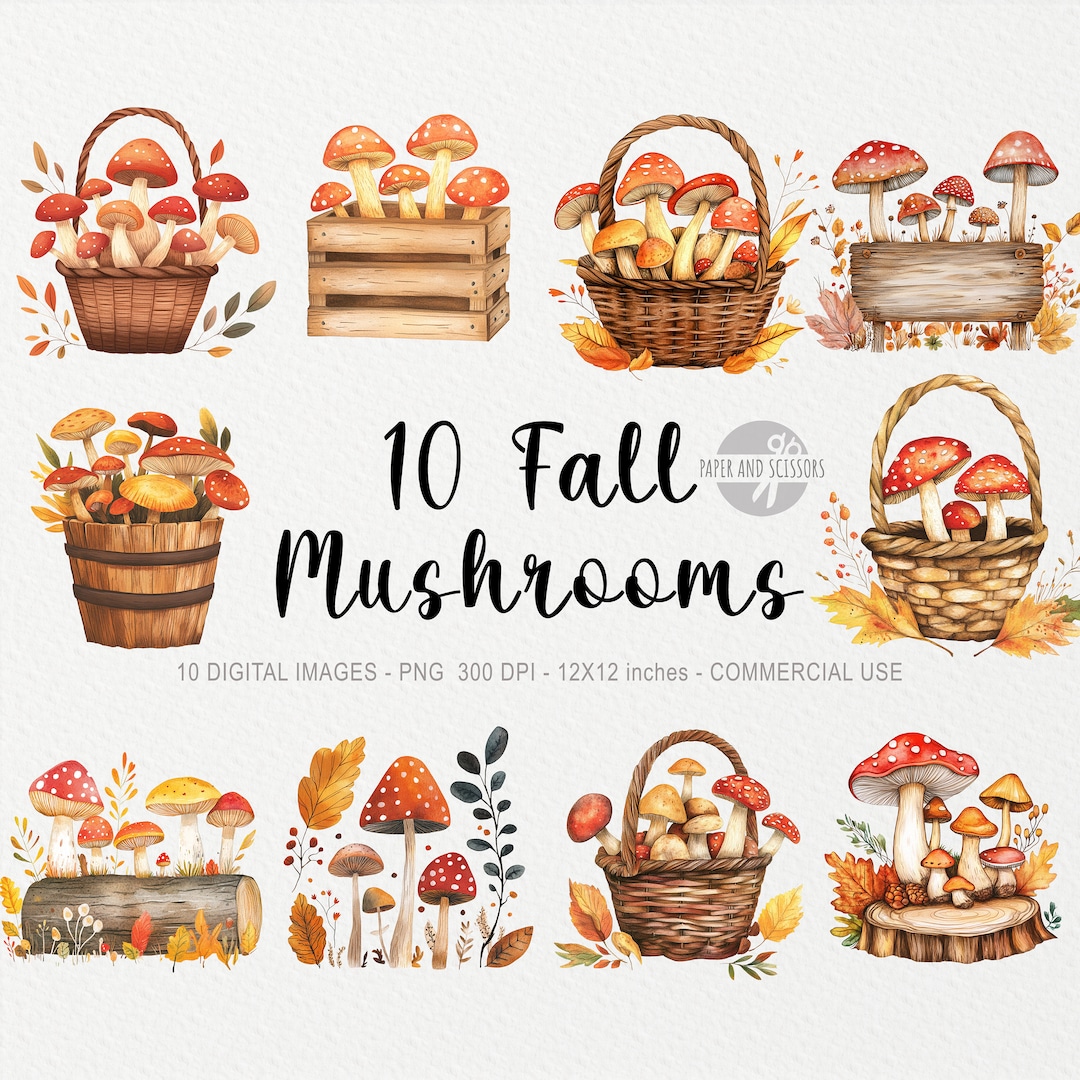 10 Fall Mushrooms Cliparts, Autumn PNG, Cosy Fall Decor Illustration ...