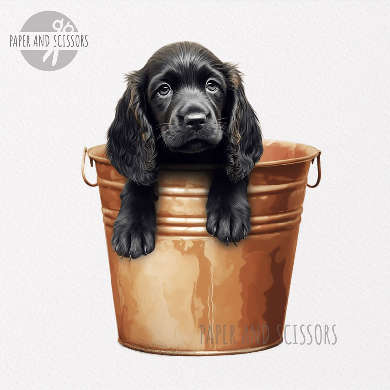 Cocker Spaniel Clipart Cocker Spaniel PNG Cocker Spaniel - Etsy