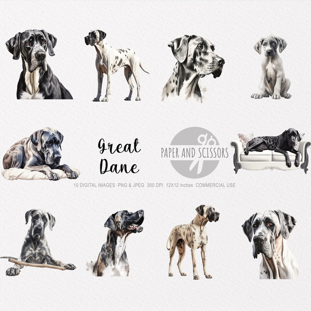 Great Dane Clipart, Great Dane PNG, Great Dane Illustration, Dog ...