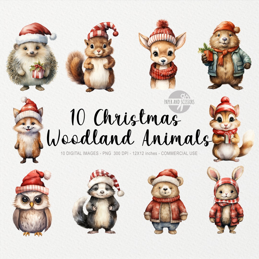 10 Christmas Woodland Animals Clipart, Watercolor Woodland Animals PNG ...