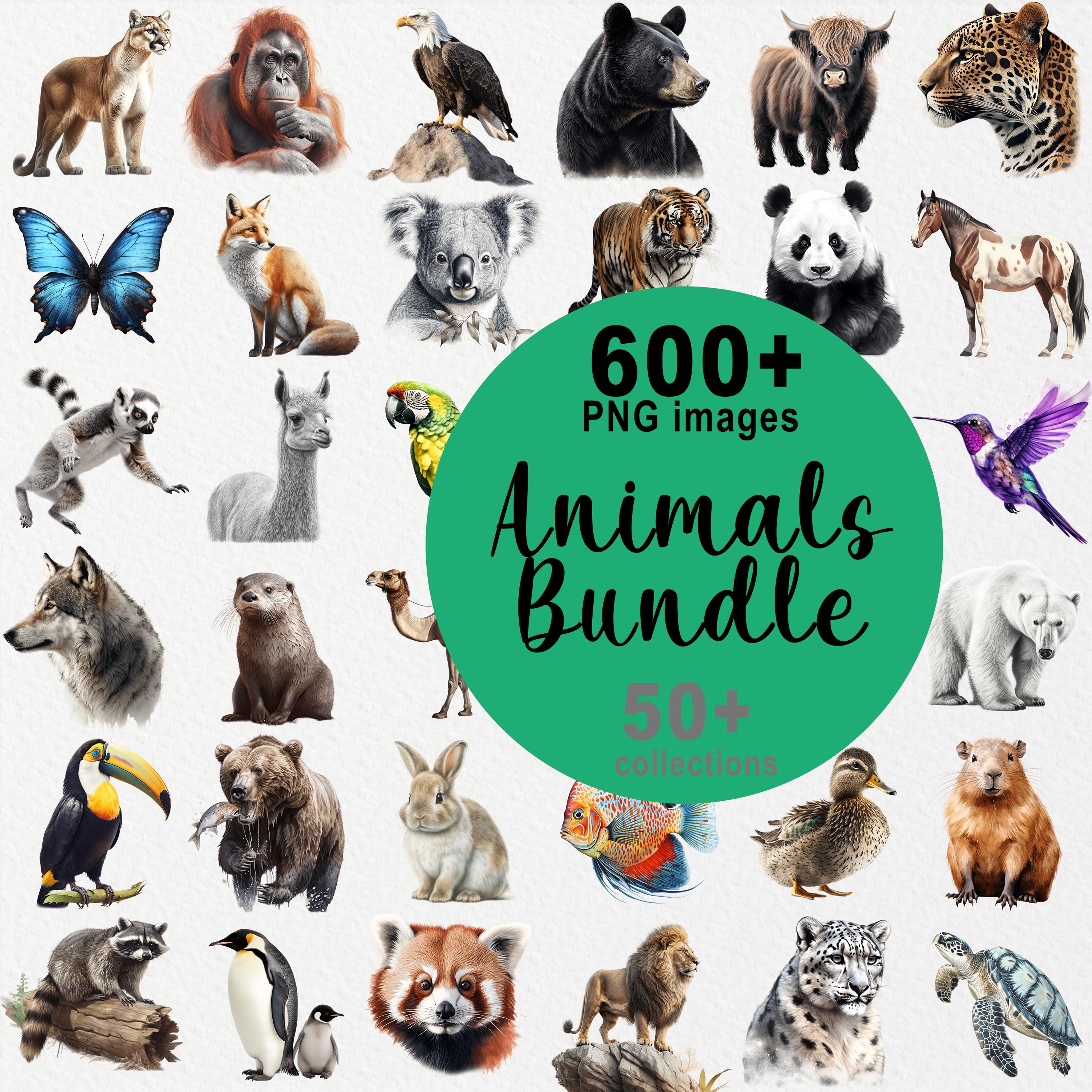 600+ Animal PNG Images, Animal Clipart Bundle, Watercolor Animal ...