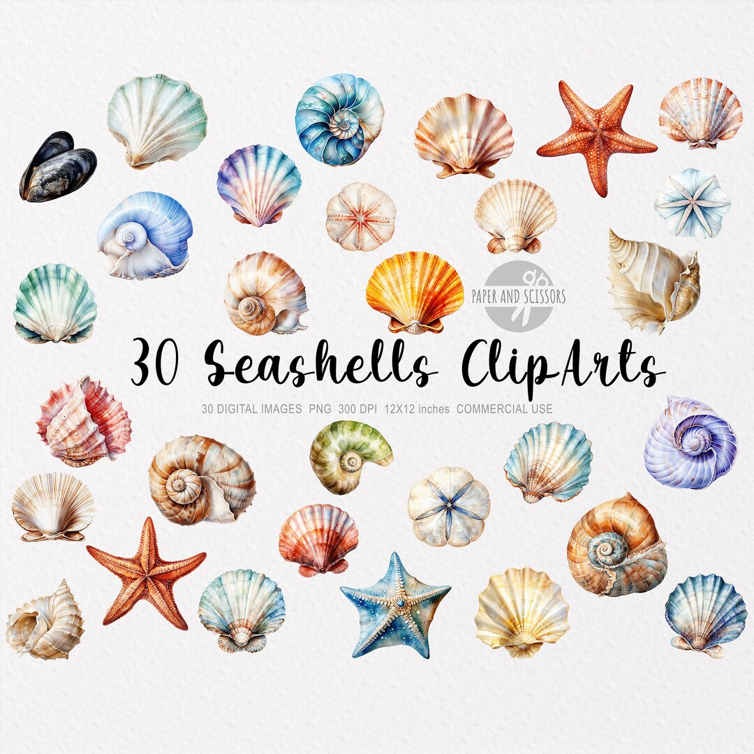 30 Seashells Clipart, Seashells PNG, Seashells Illustration, Watercolor ...