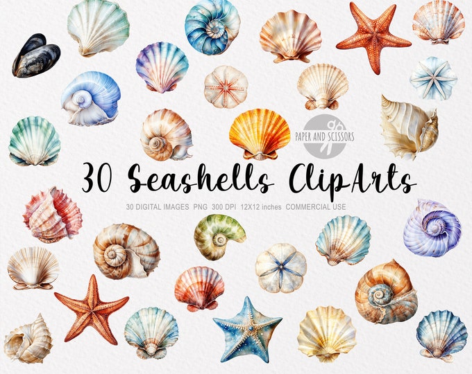 Seashell Clipart, Seashell Png, Seashells in a Bucket Png, Watercolor ...