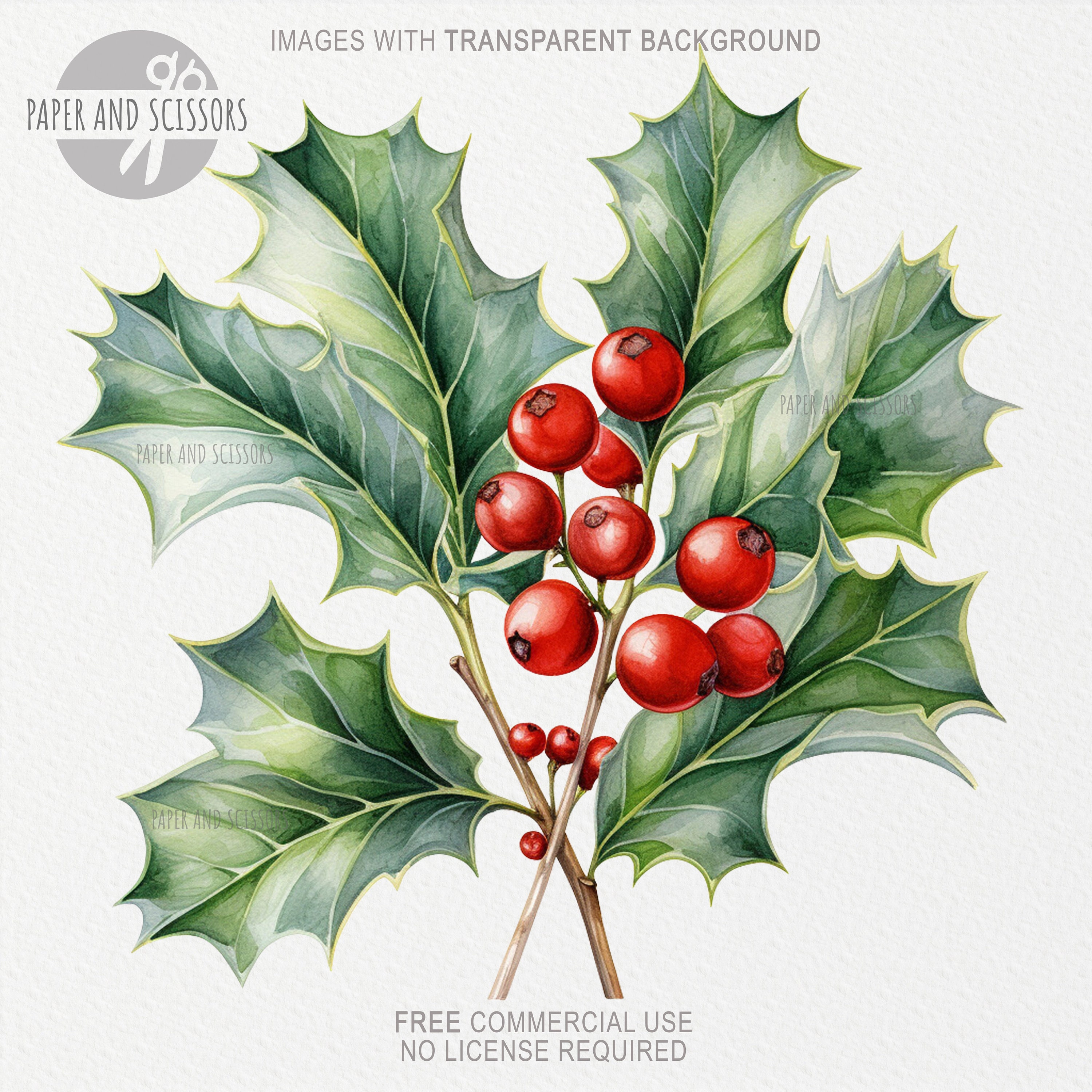 15 Christmas Holly Clipart, Holly PNG, Watercolor Holly Illustration ...