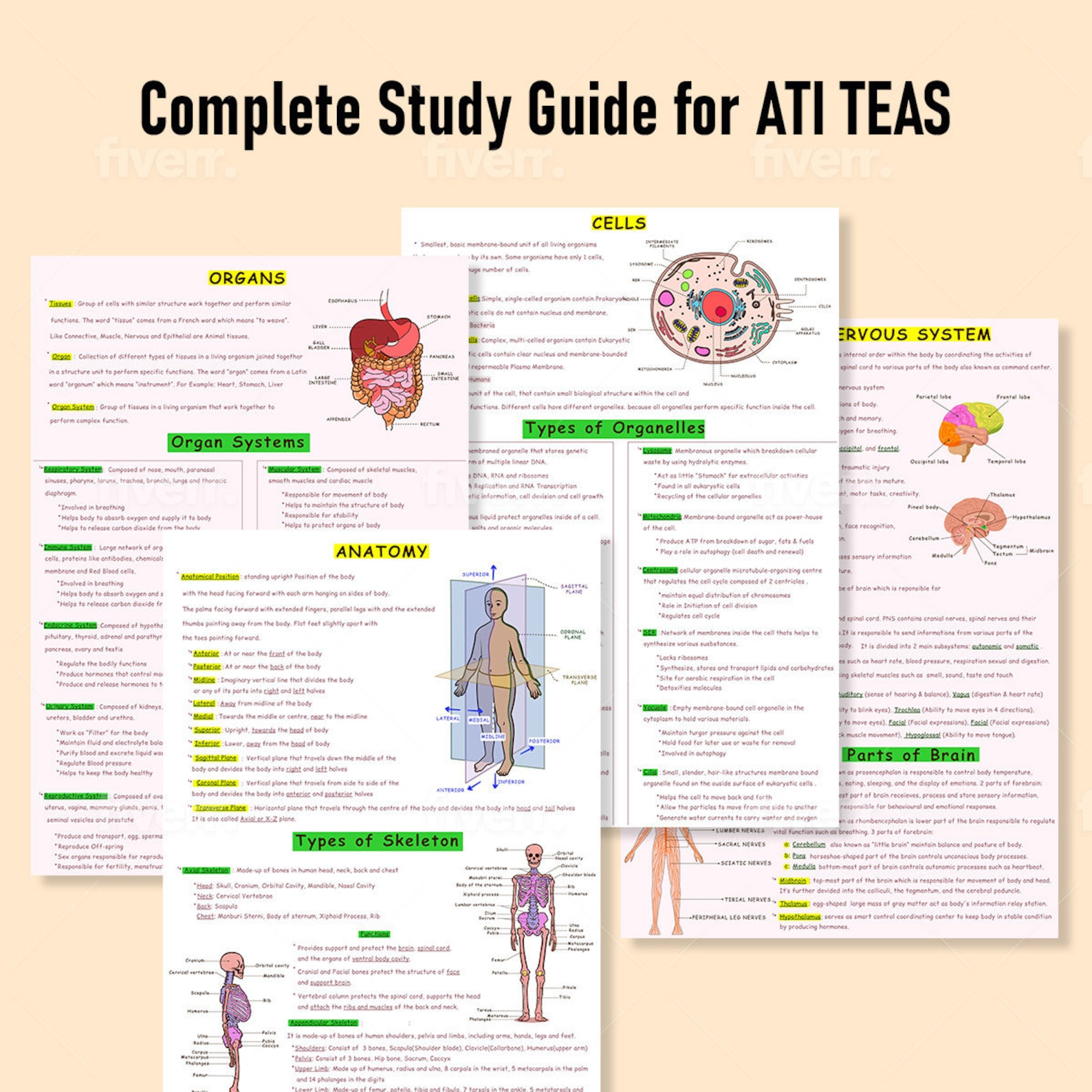 The Complete ATI TEAS 7 Study Guide - Etsy