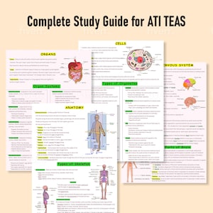 The Complete ATI TEAS 7 Study Guide - Etsy