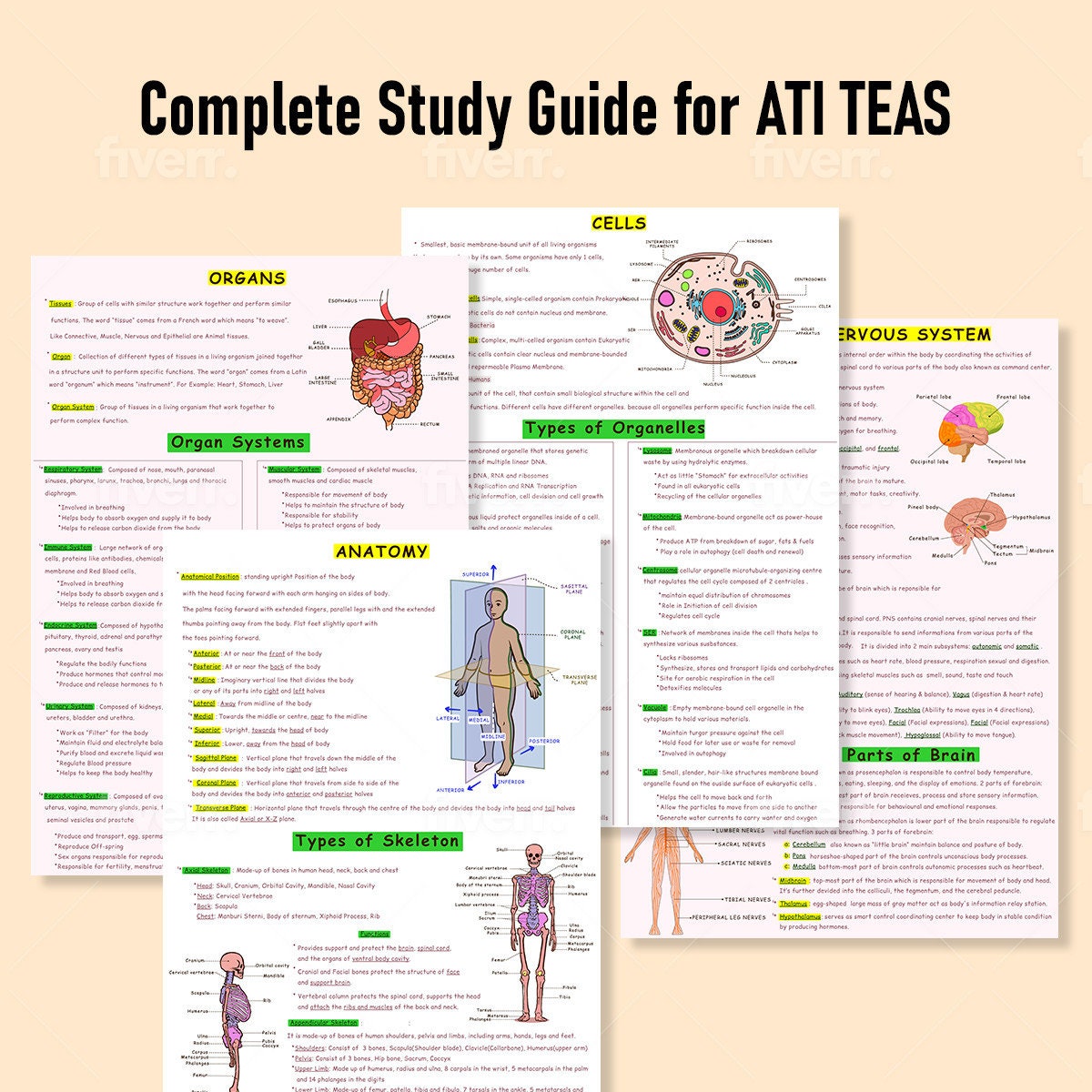 The Complete ATI TEAS 7 Study Guide - Etsy The Complete ATI TEAS 7 Study Guide - Etsy