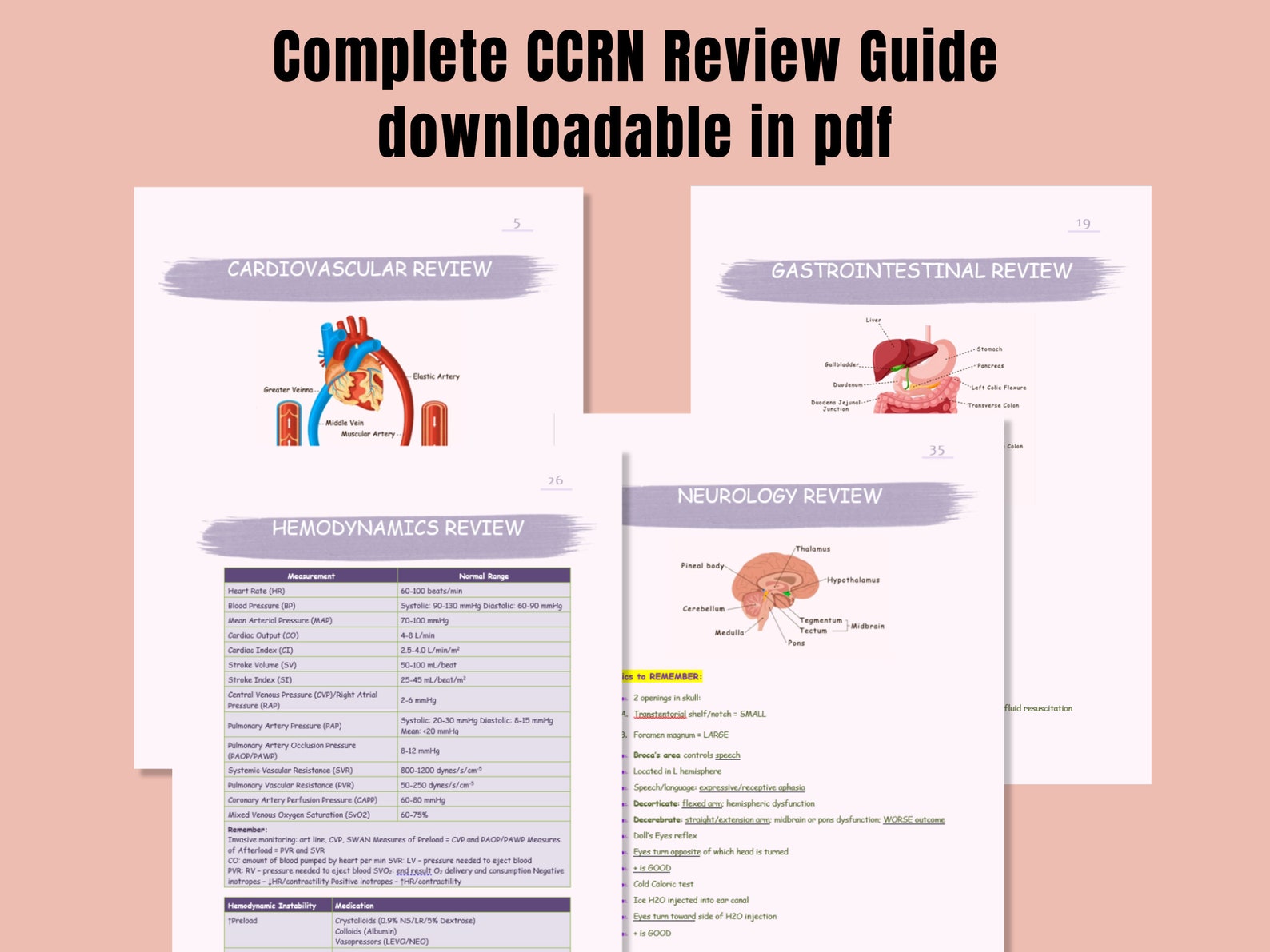 CCRN Exam Review Guide: ICU Nurse Certification Test Prep (PDF) - Etsy