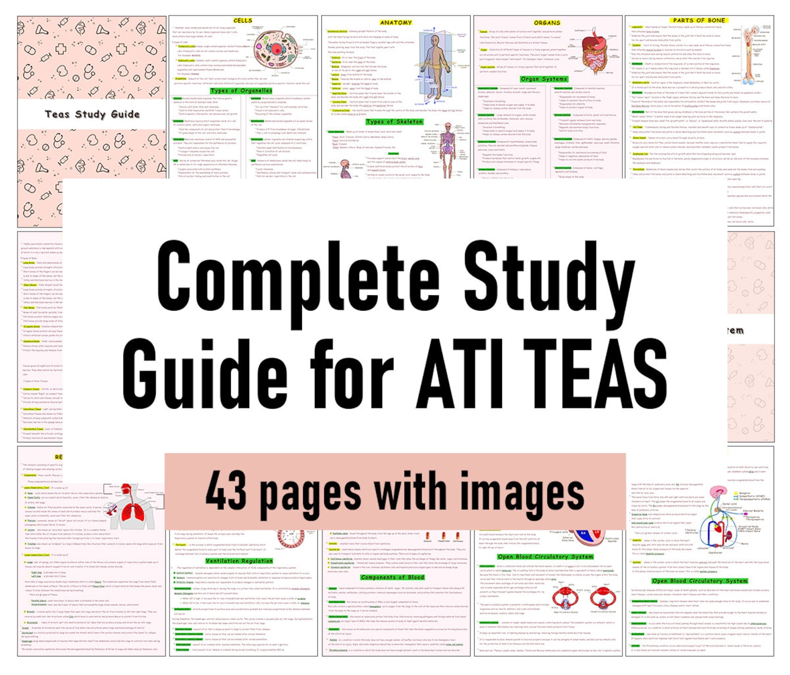 The Complete ATI TEAS 7 Study Guide - Etsy