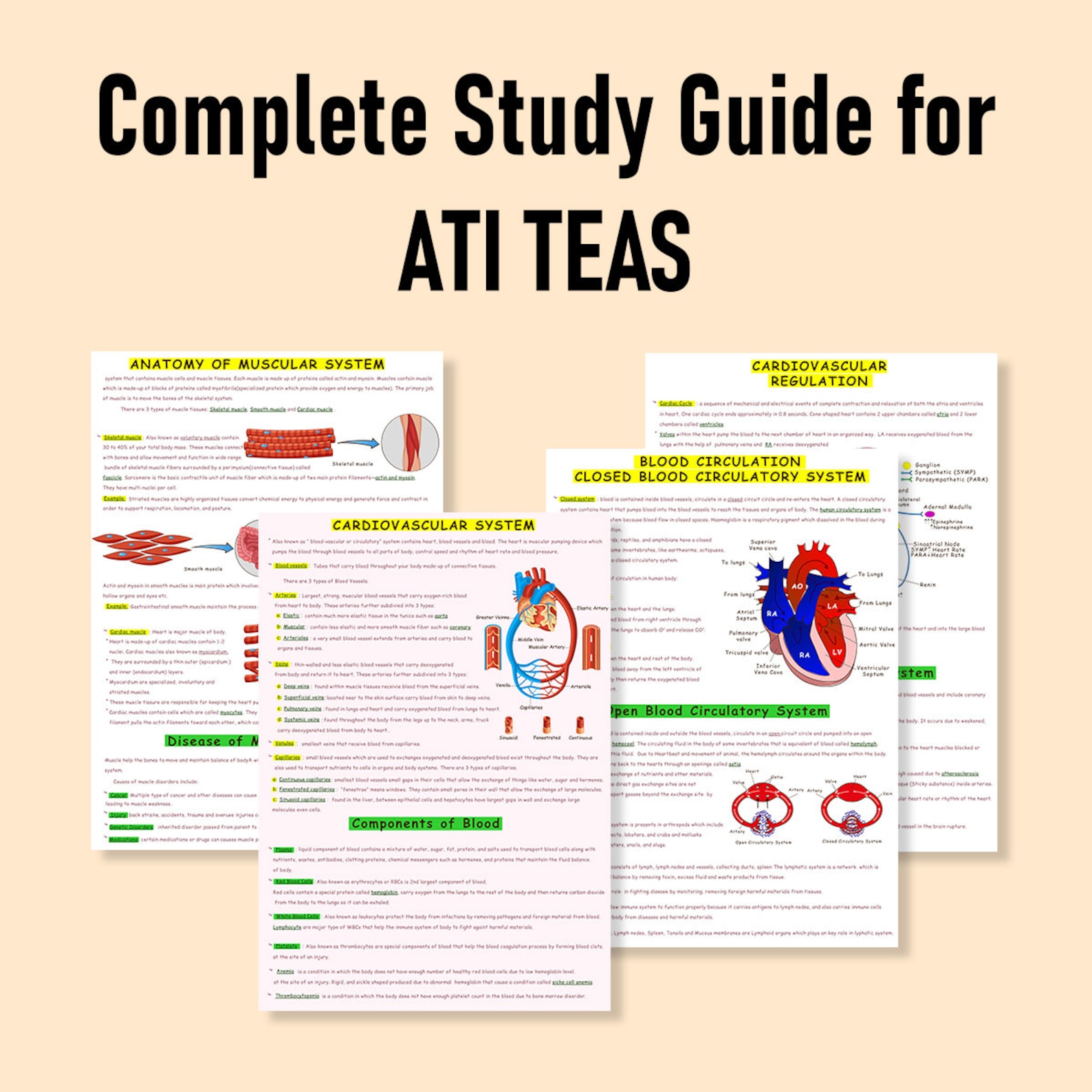 The Complete ATI TEAS 7 Study Guide - Etsy