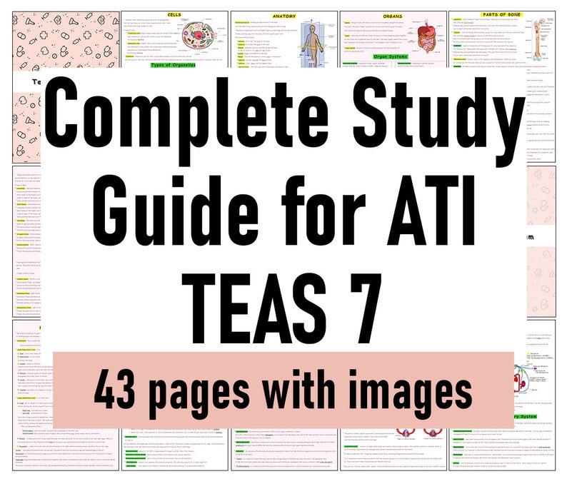 The Complete ATI TEAS 7 Study Guide - Etsy