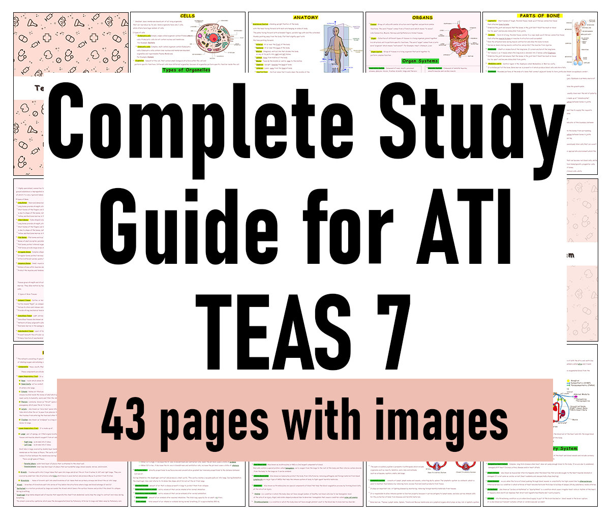 The Complete ATI TEAS 7 Study Guide - Etsy The Complete ATI TEAS 7 Study Guide - Etsy
