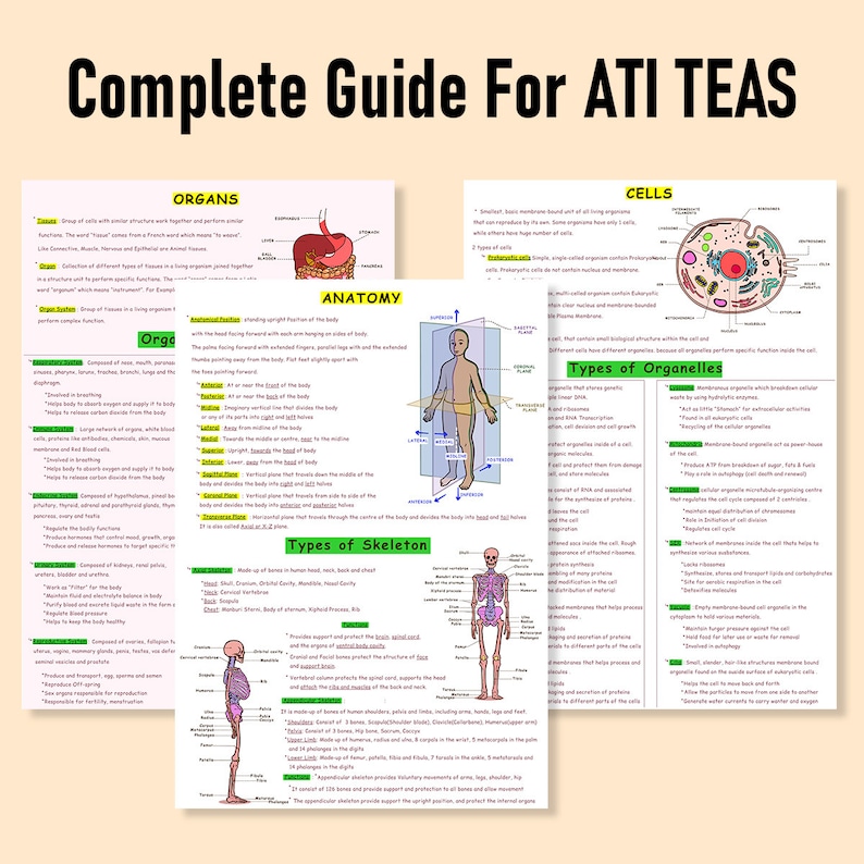 ATI TEAS & Dosage Calculation Study Guides (digital Download) - Etsy