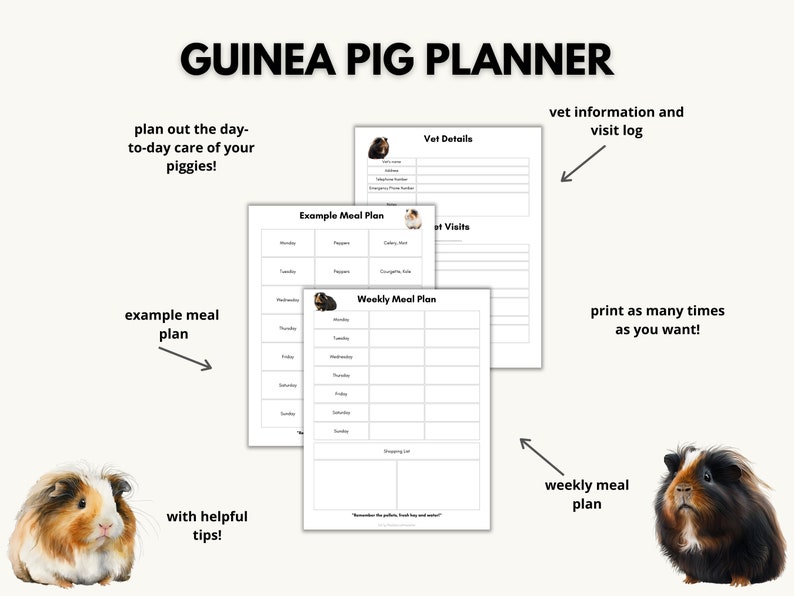 Guinea Pig Planner Printable, Guinea Pig Pet Sitting Insert, Pet Health ...