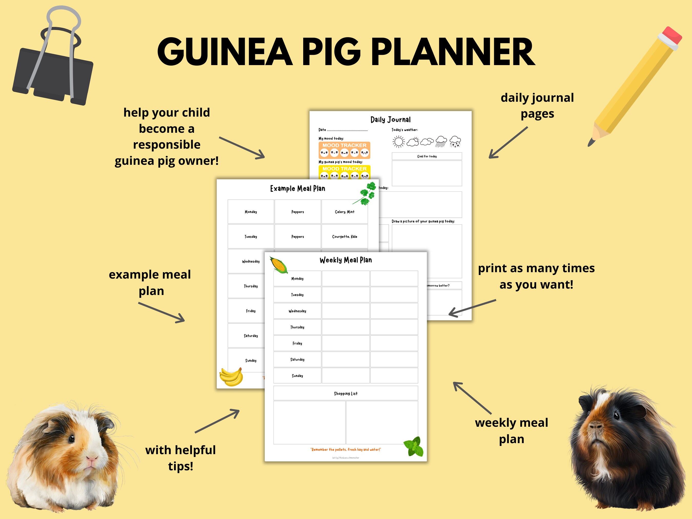 Guinea Pig Planner Printable for Children, Chore Chart for Kids, Guinea ...