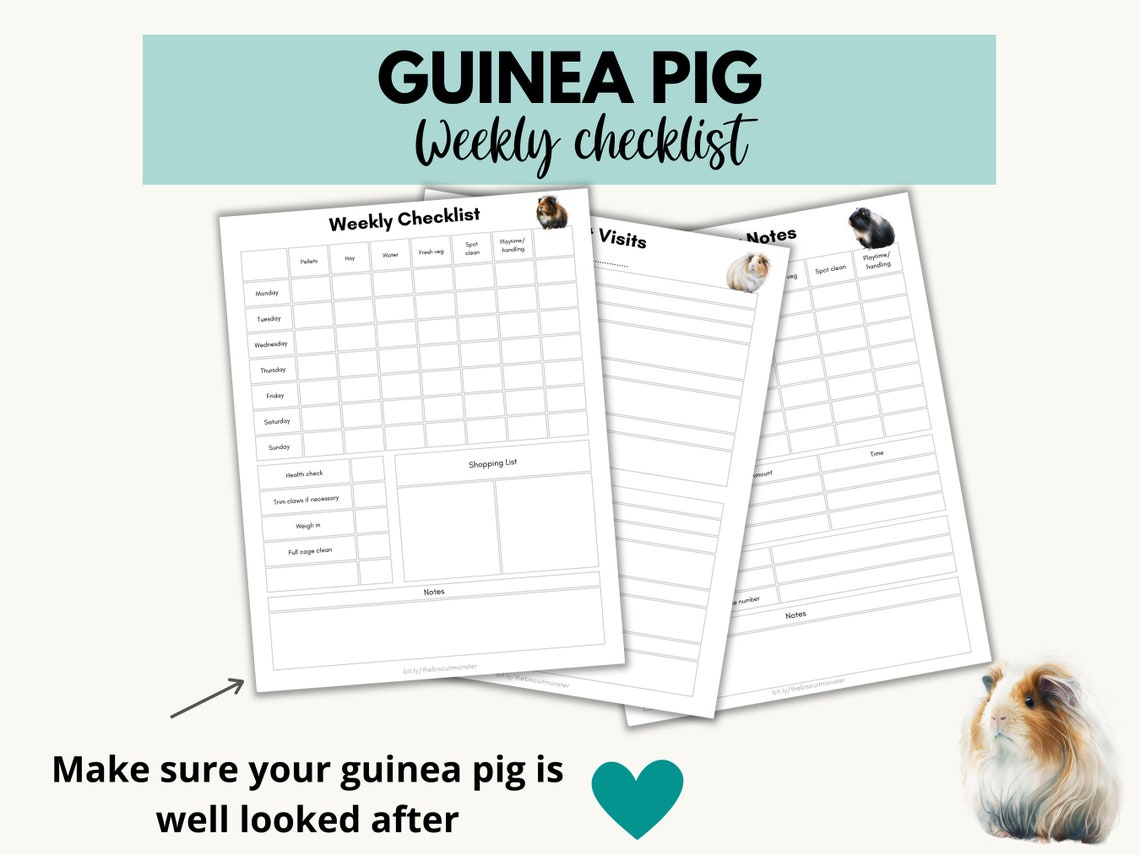 Guinea Pig Planner Printable, Guinea Pig Pet Sitting Insert, Pet Health Record, Pet Care Binder ...