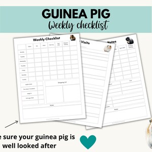 Guinea Pig Planner Printable, Guinea Pig Pet Sitting Insert, Pet Health ...