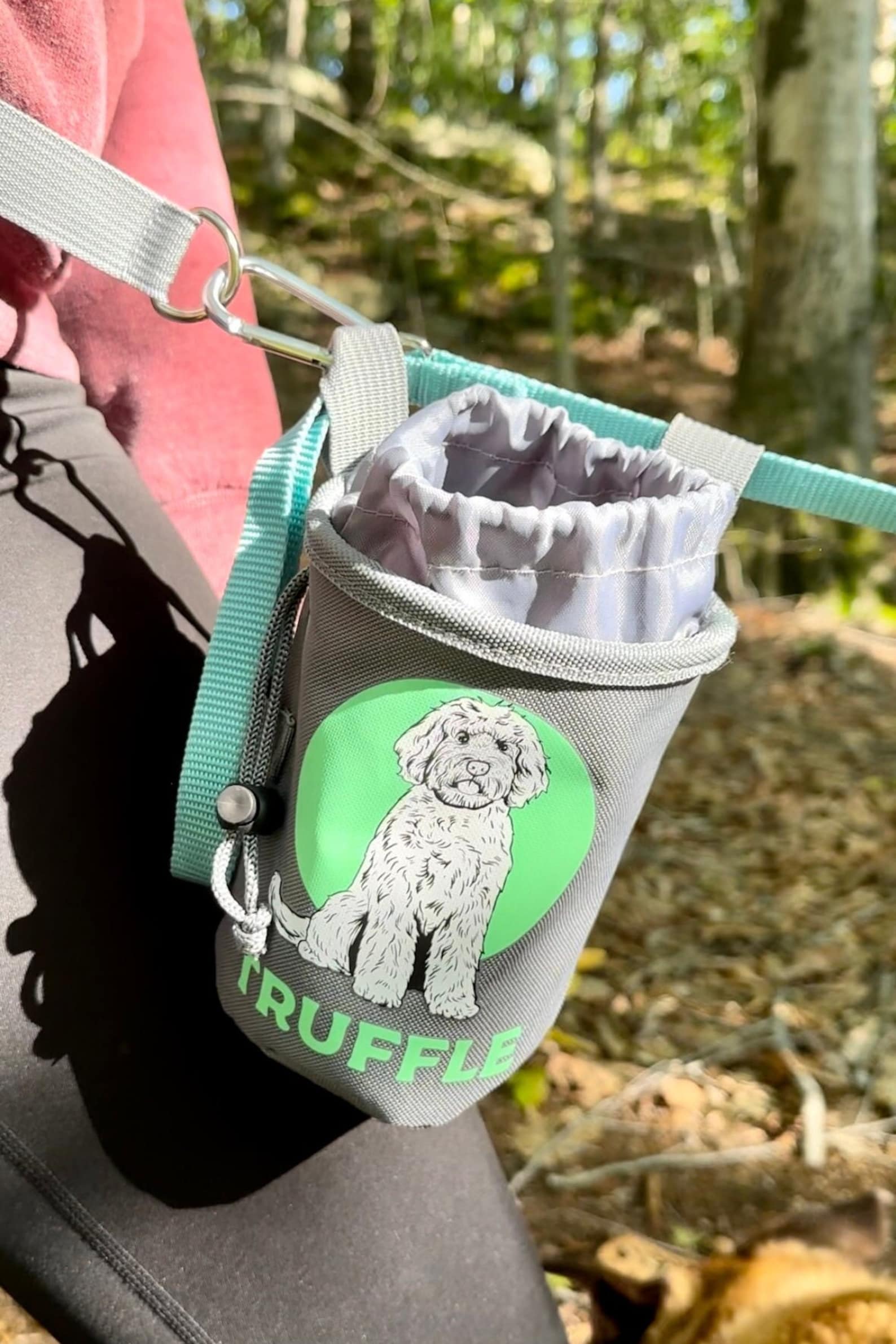 Hands-free Dog Walking Belt With Poop Bag Holder - Etsy
