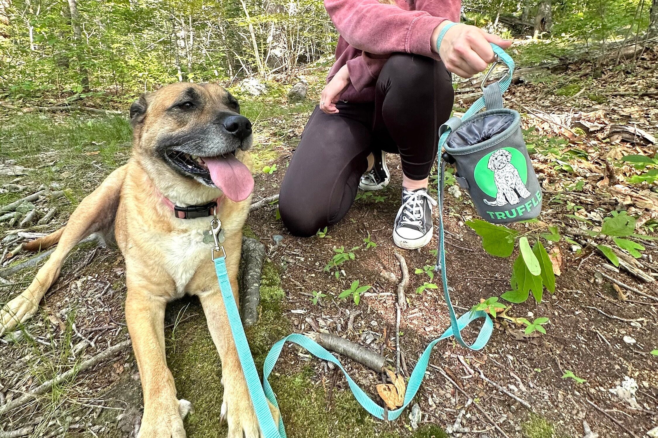 Hands-free Dog Walking Belt With Poop Bag Holder - Etsy