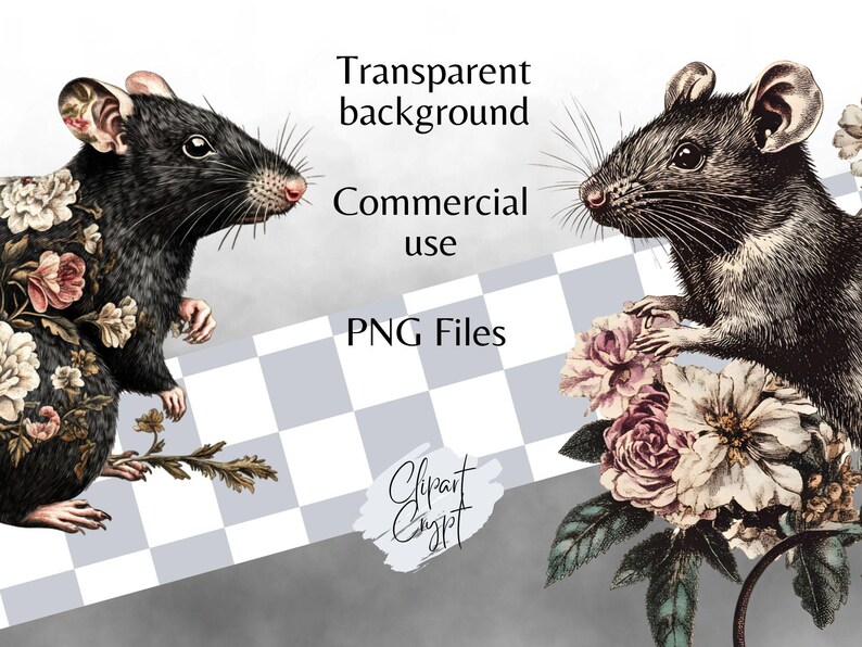 Vintage Gothic Floral Rat Clipart Bundle, Dark Academia Botanical ...