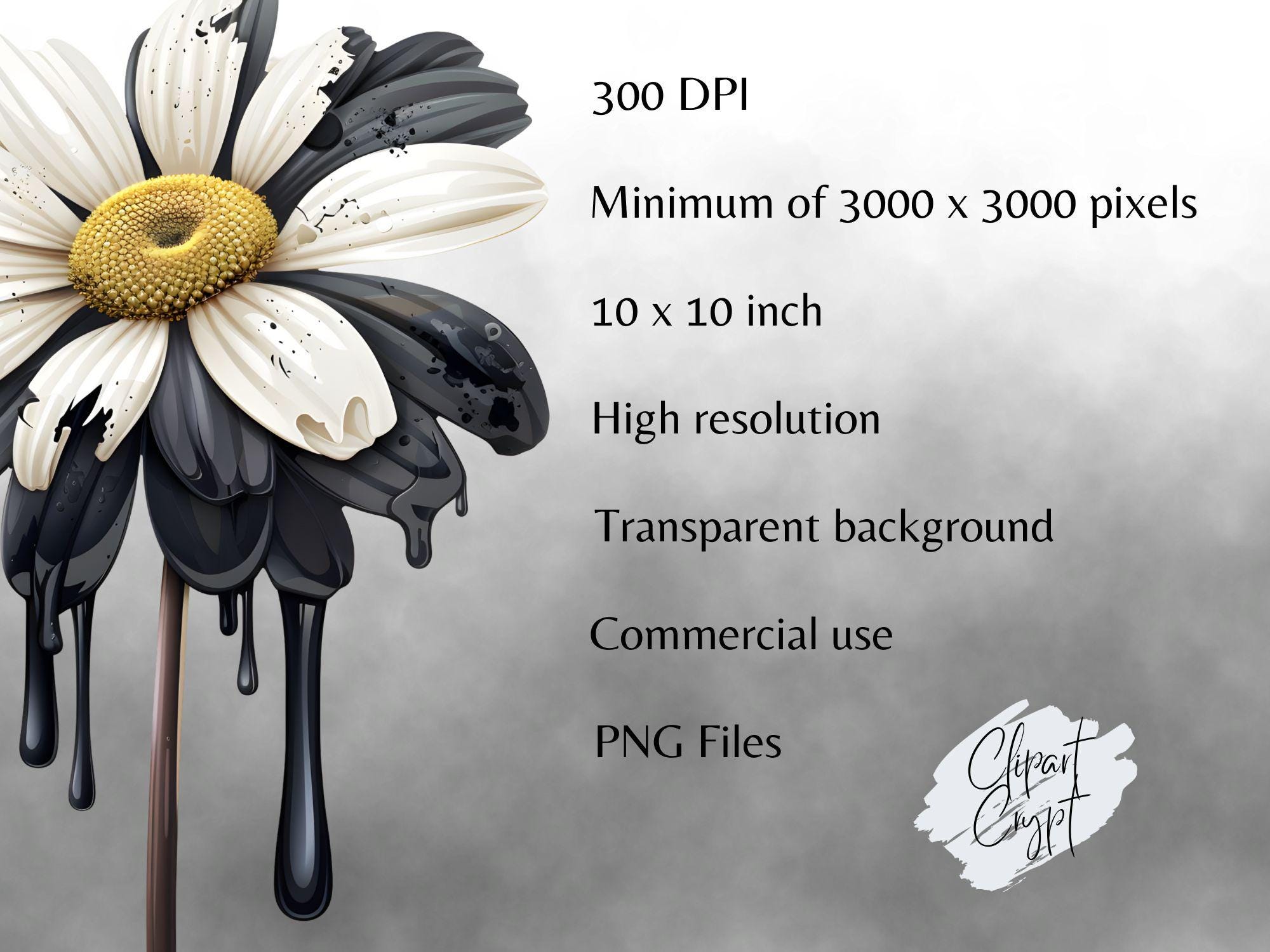 Dripping Gothic Daisy Clipart Bundle, Dark Botanical Elegance, Mystical ...