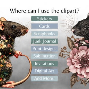 Vintage Gothic Floral Rat Clipart Bundle, Dark Academia Botanical ...