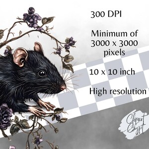 Vintage Gothic Floral Rat Clipart Bundle, Dark Academia Botanical ...