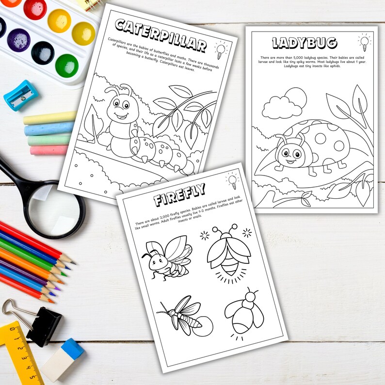 Insects and Bugs Coloring Pages for Kids – Fun Facts, Educational ...
