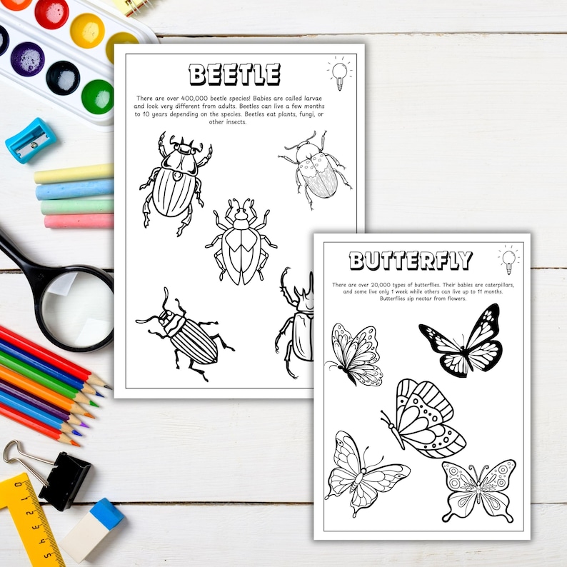 Insects and Bugs Coloring Pages for Kids – Fun Facts, Educational ...