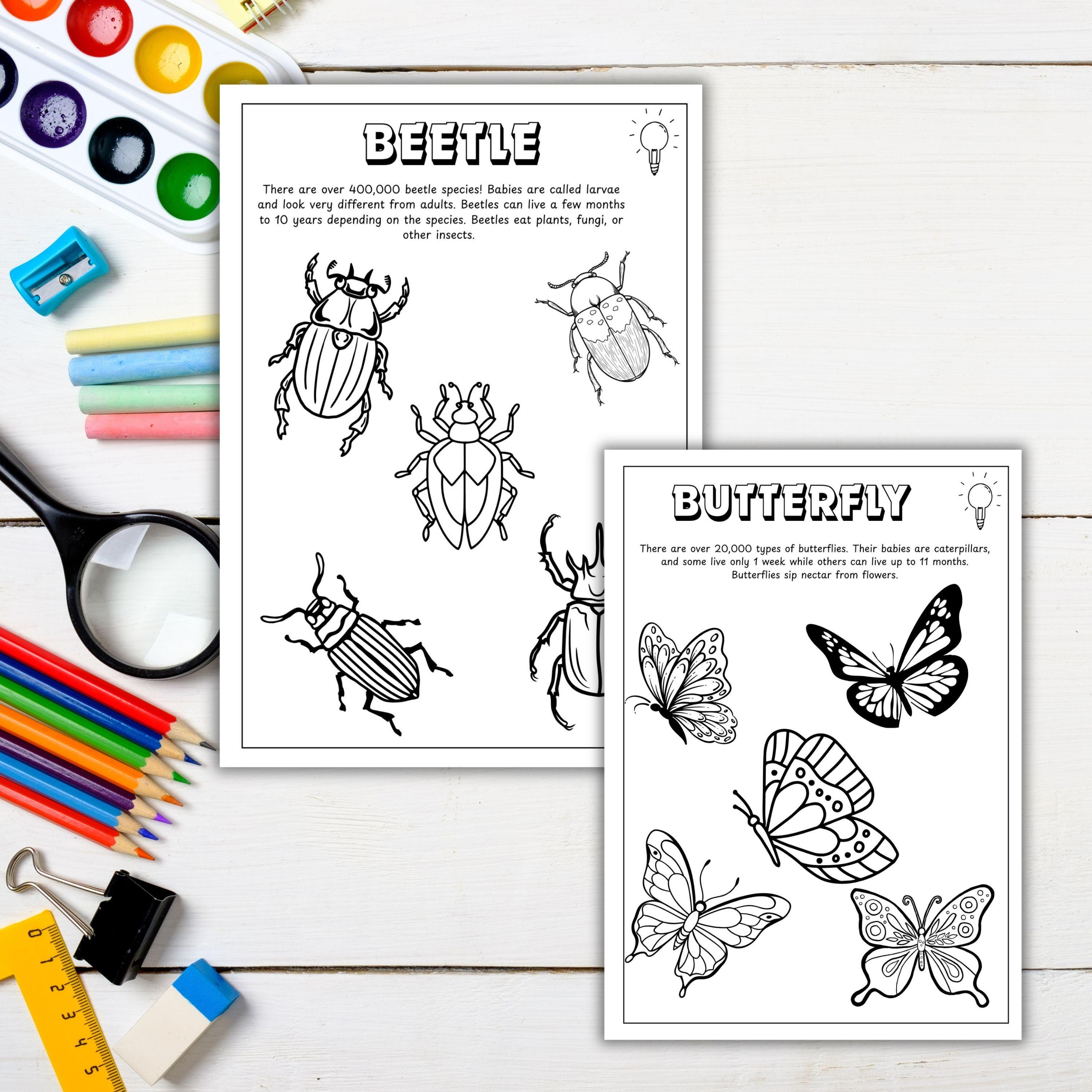 Insects and Bugs Coloring Pages for Kids – Fun Facts, Educational ...
