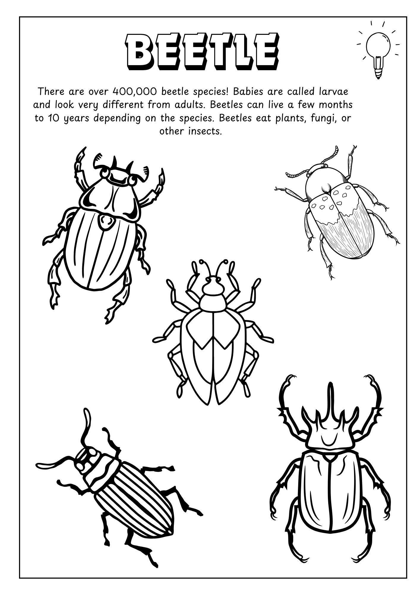 Insects and Bugs Coloring Pages for Kids – Fun Facts, Educational ...