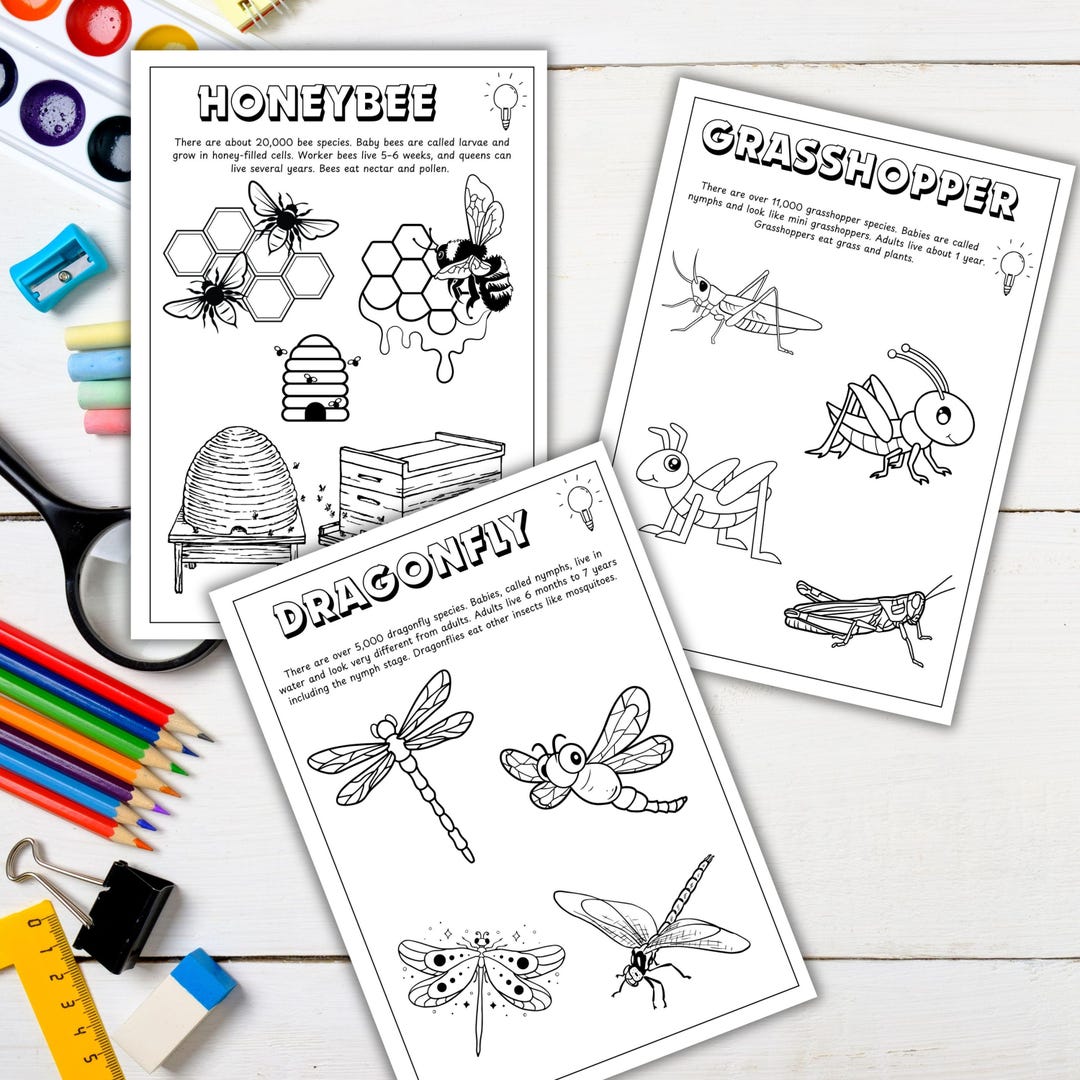 Insects & Bugs Coloring Pages: Fun Facts for Kids (printable Digital ...