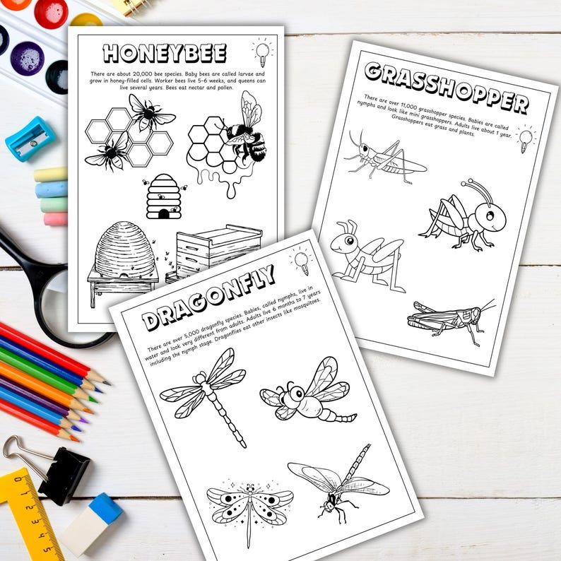 Insects and Bugs Coloring Pages for Kids – Fun Facts, Educational ...