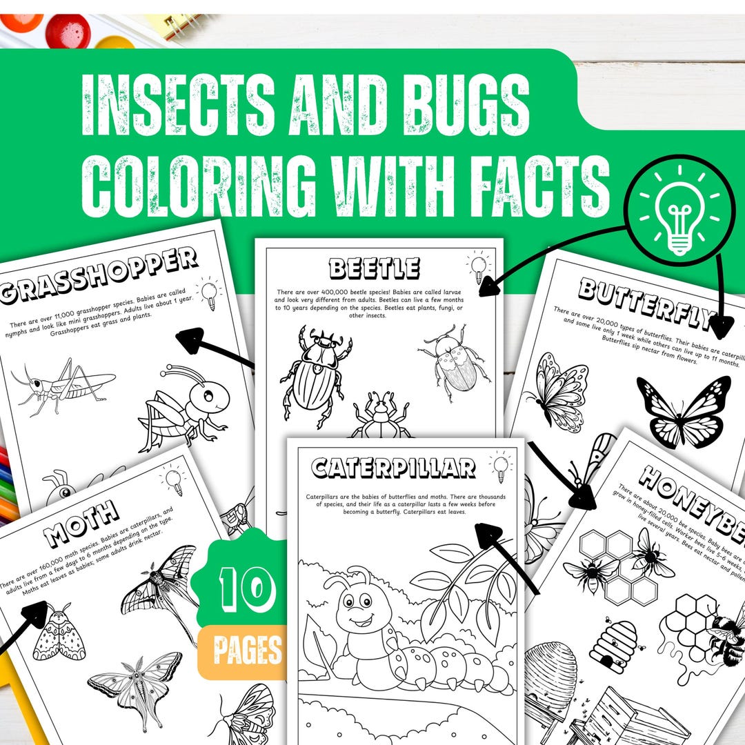 Insects and Bugs Coloring Pages for Kids – Fun Facts, Educational ...