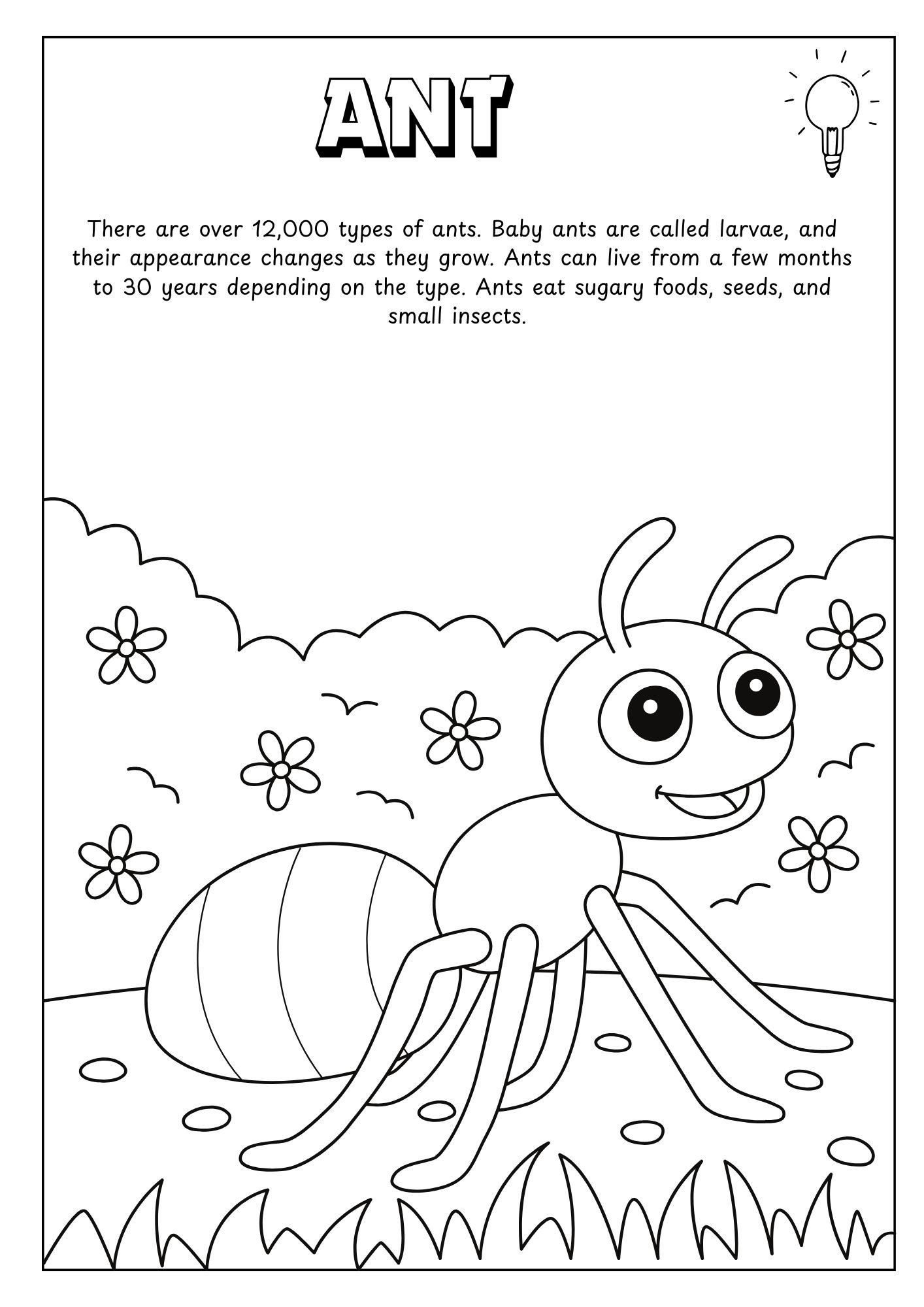Insects and Bugs Coloring Pages for Kids – Fun Facts, Educational ...